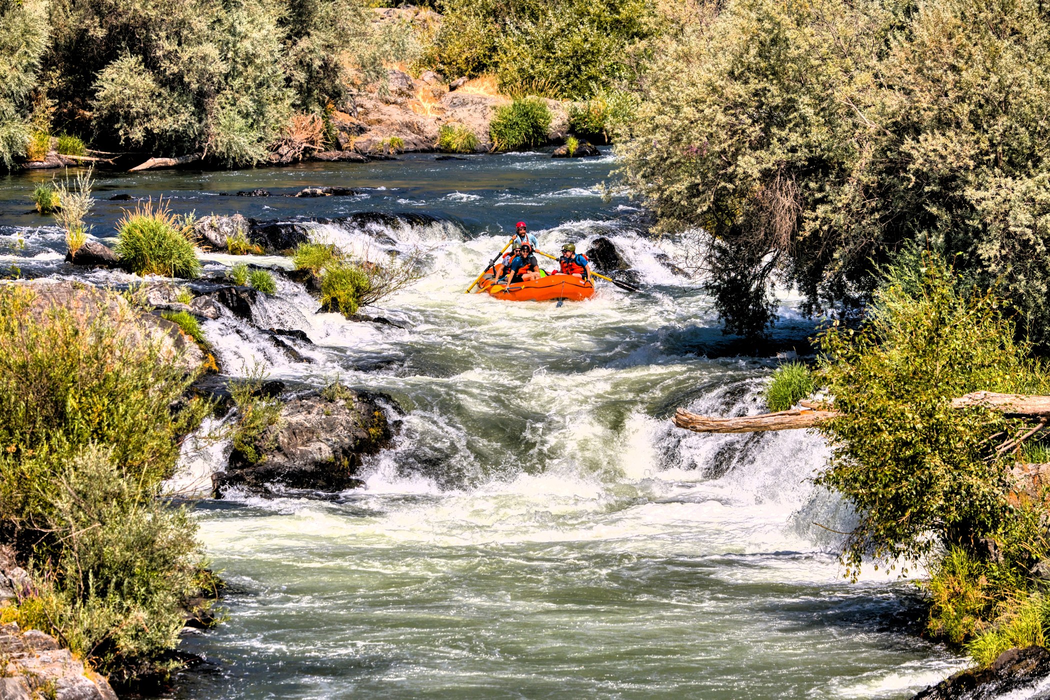 Rogue River Whitewater Rafting in Oregon | Noah's River Adventures